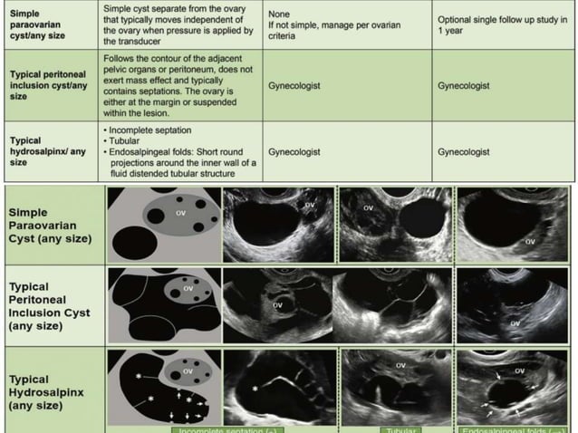 O'rads Radiology 2020