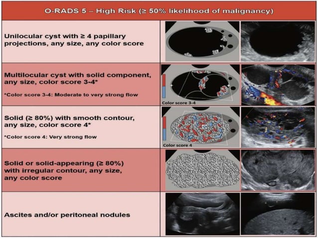 O'rads Radiology 2020