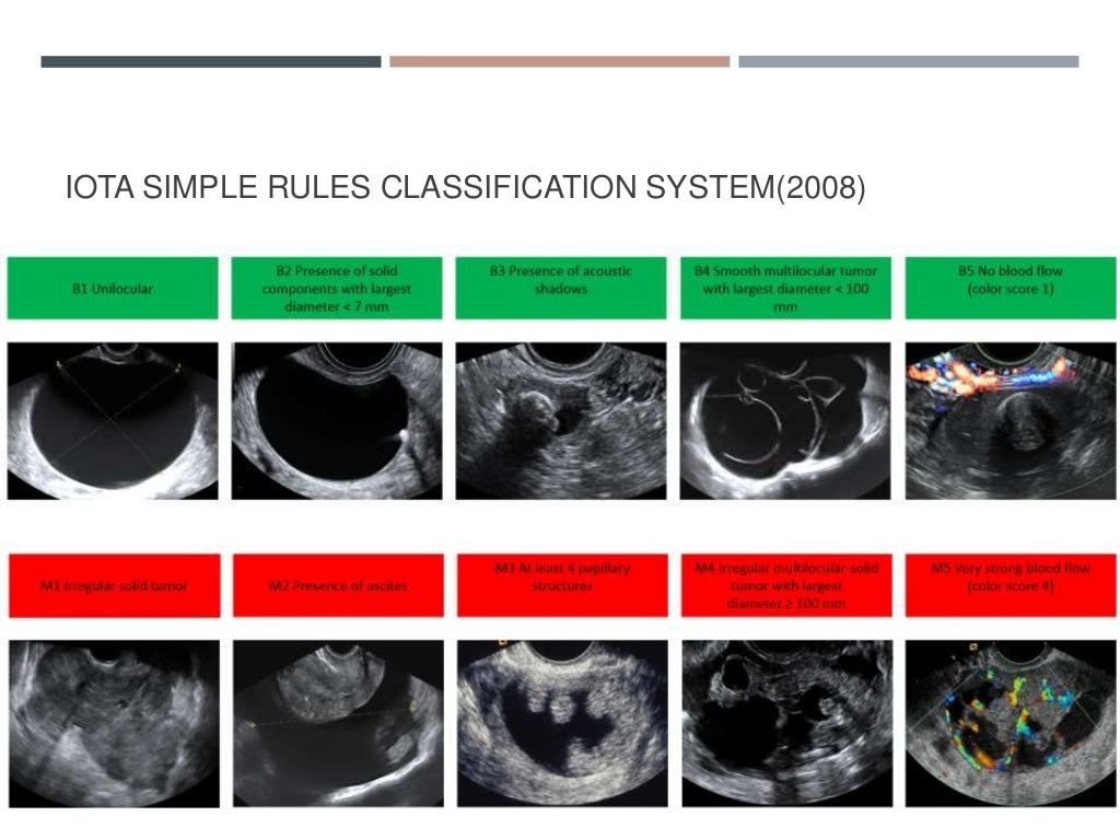 O'rads Radiology 2020
