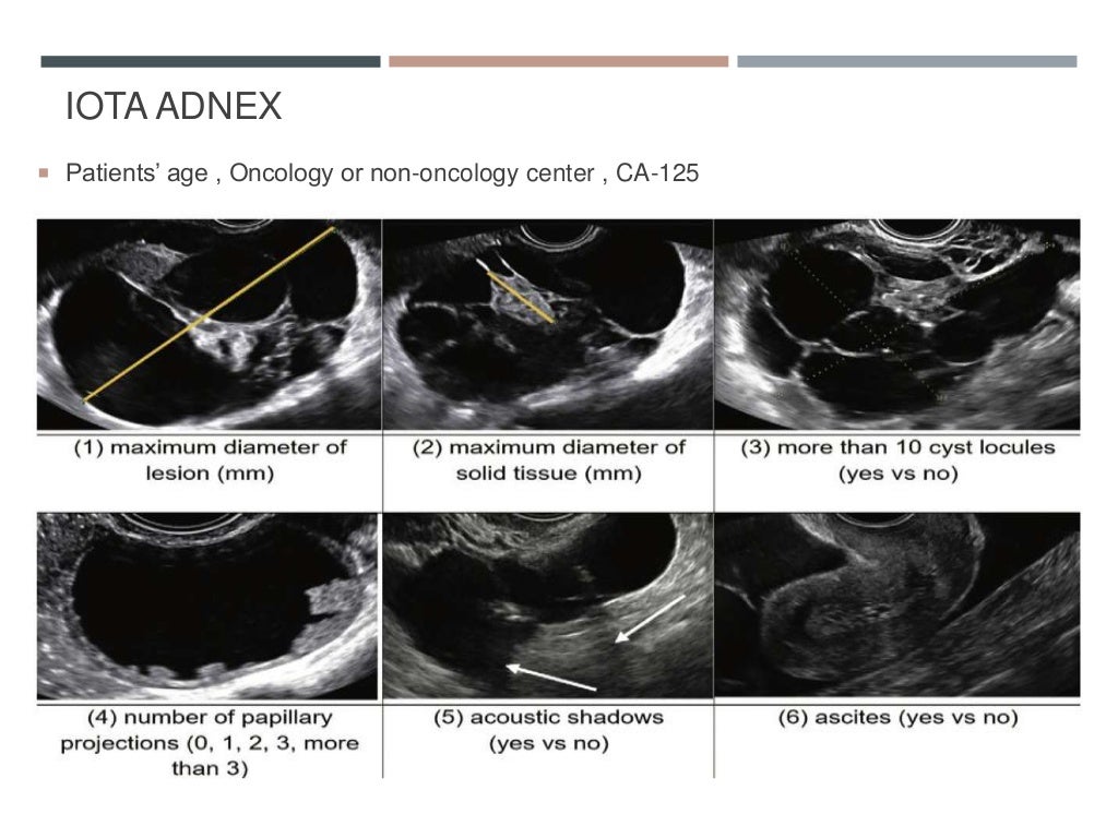 O'rads Radiology 2020