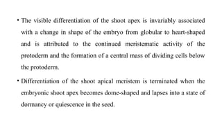 Organization of SAM, cytological and molecular analysis.pptx