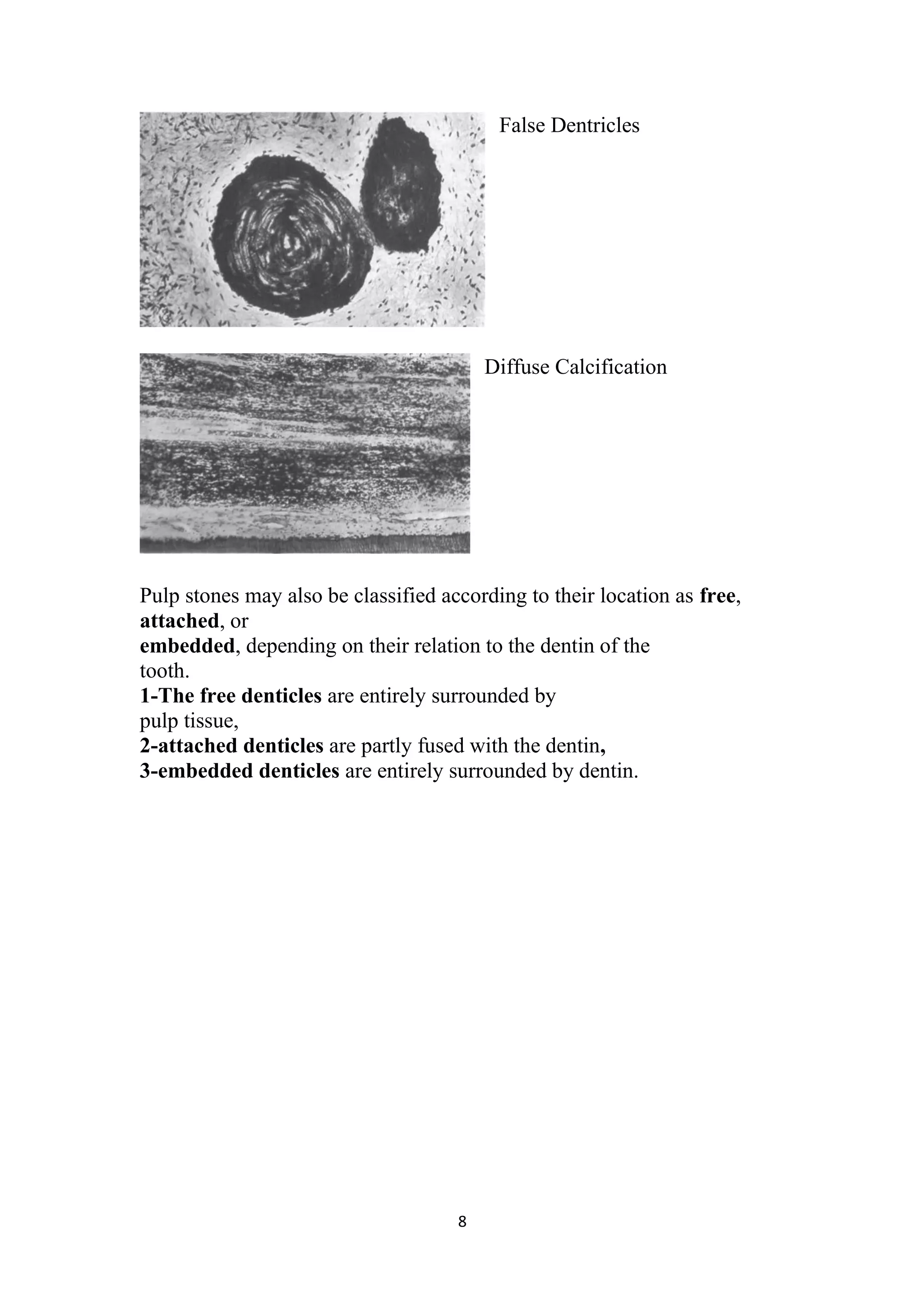 Oral-Histology-pulp-converted (1).pdf