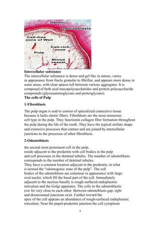 Oral-Histology-pulp-converted (1).pdf