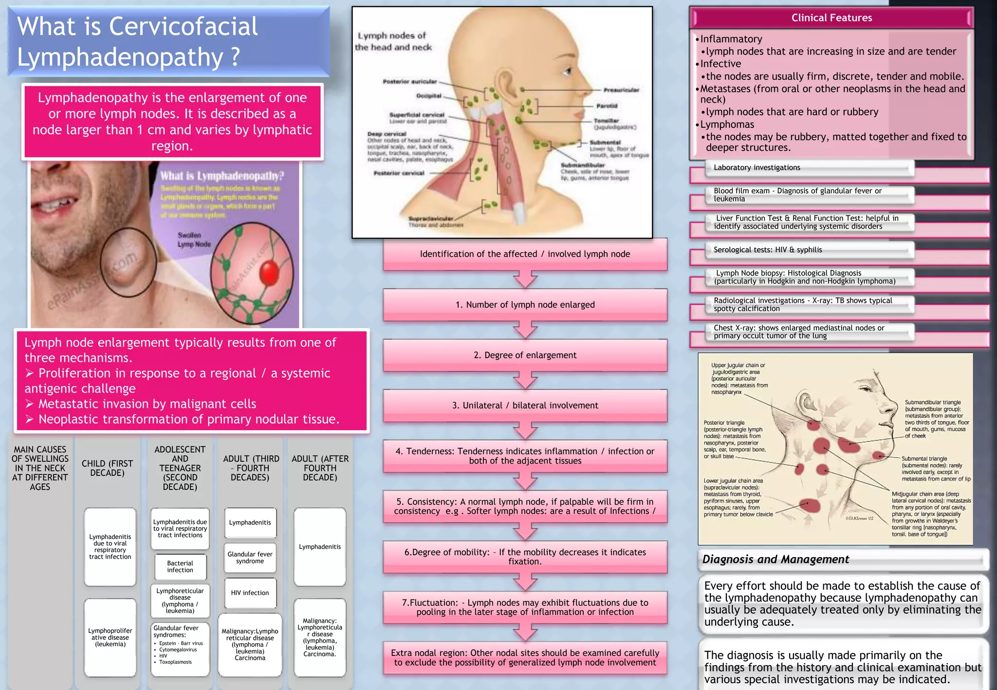 Cervicofacial Lymphadenopathy | PPTX