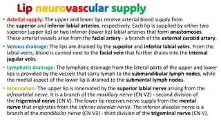 Oral Anatomy, the ear and thymus and all | PDF