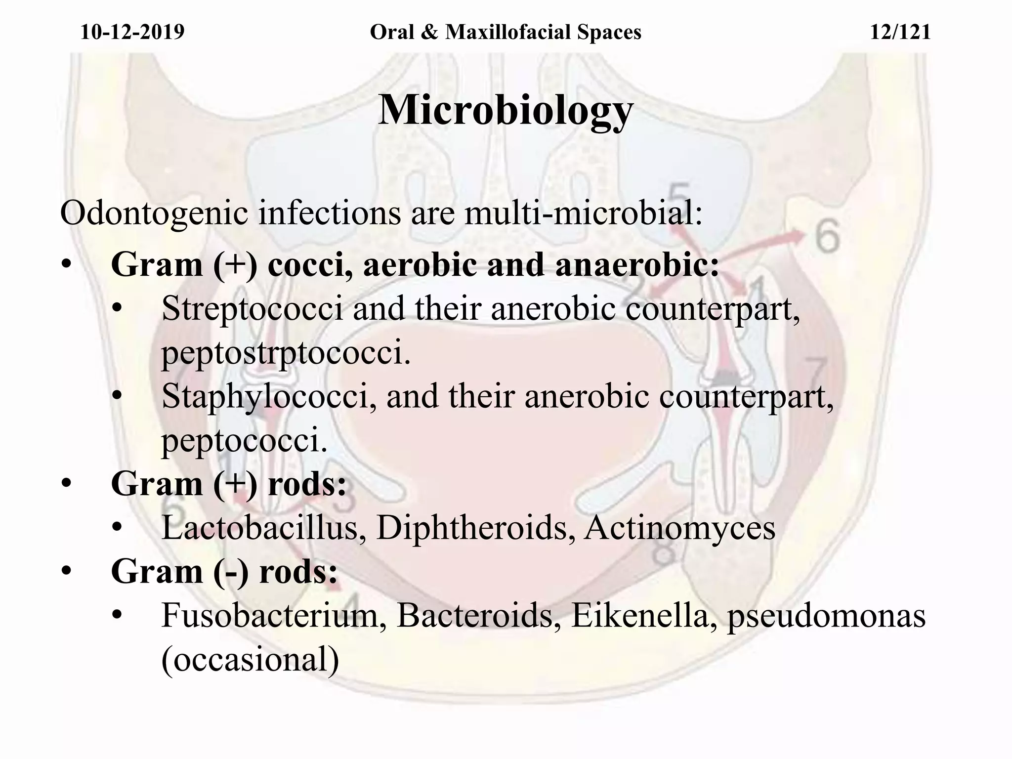 Oral and Maxillofacial Infection | PPTX