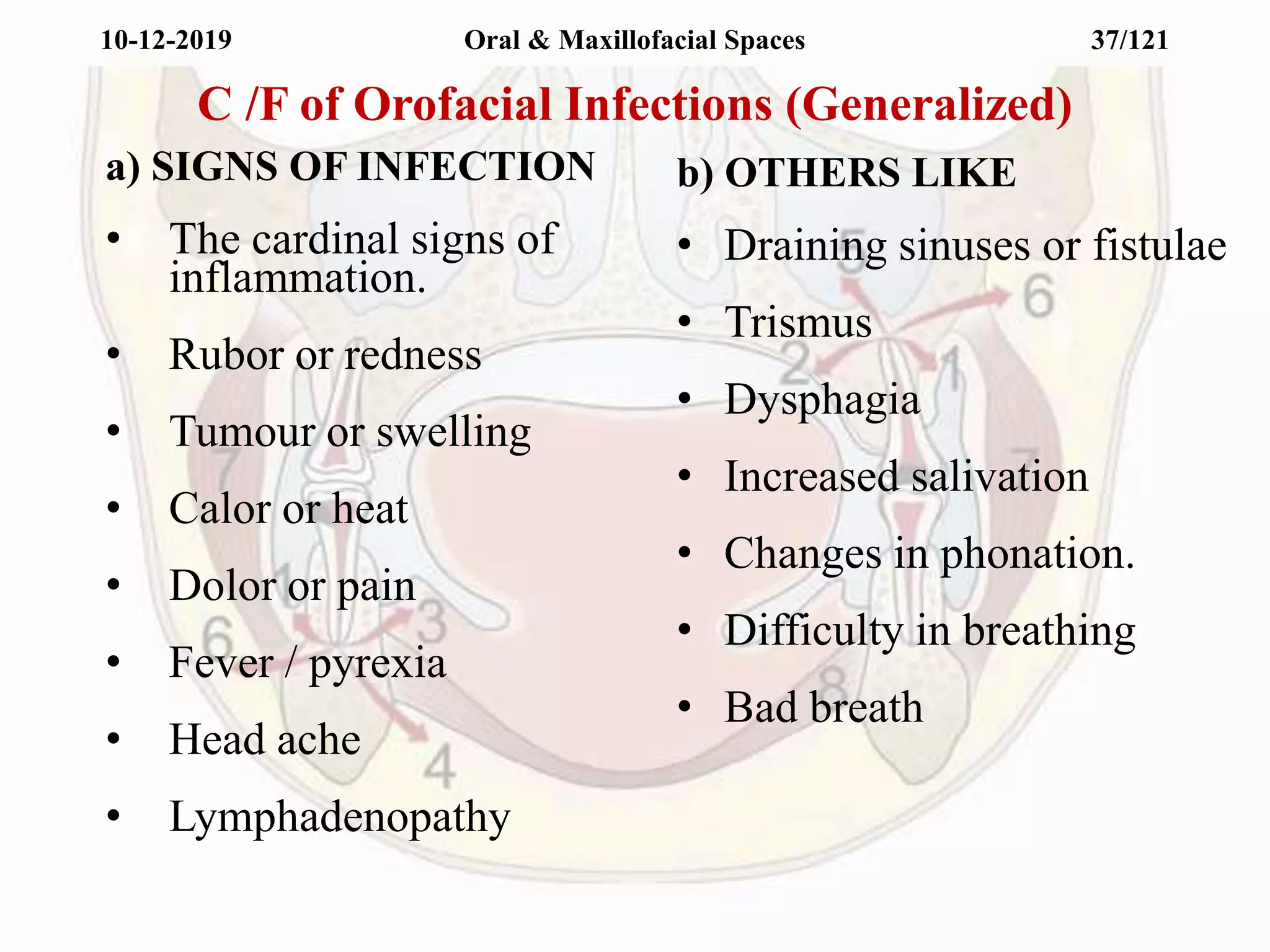 Oral and Maxillofacial Infection | PPTX