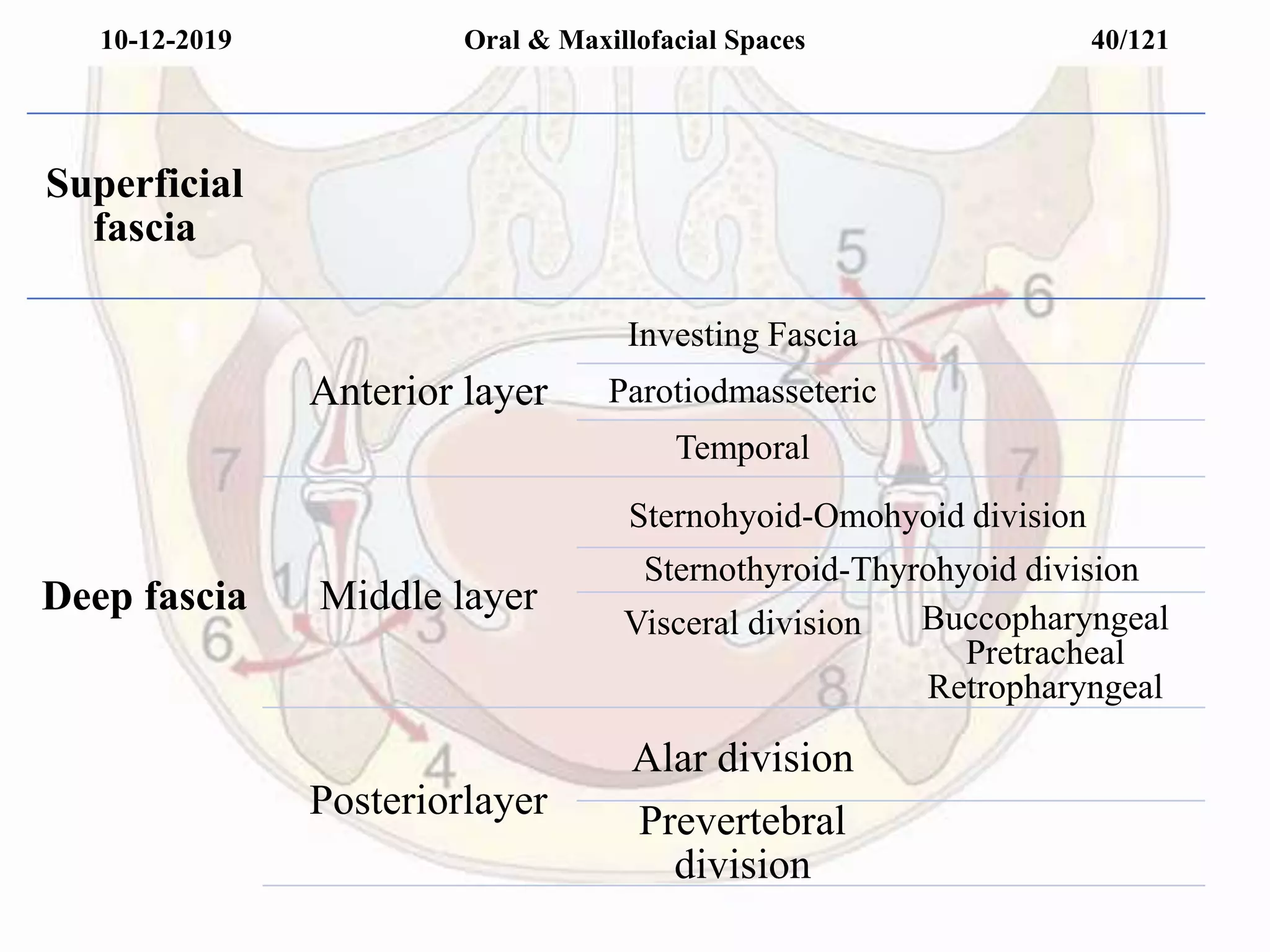 Oral and Maxillofacial Infection | PPTX