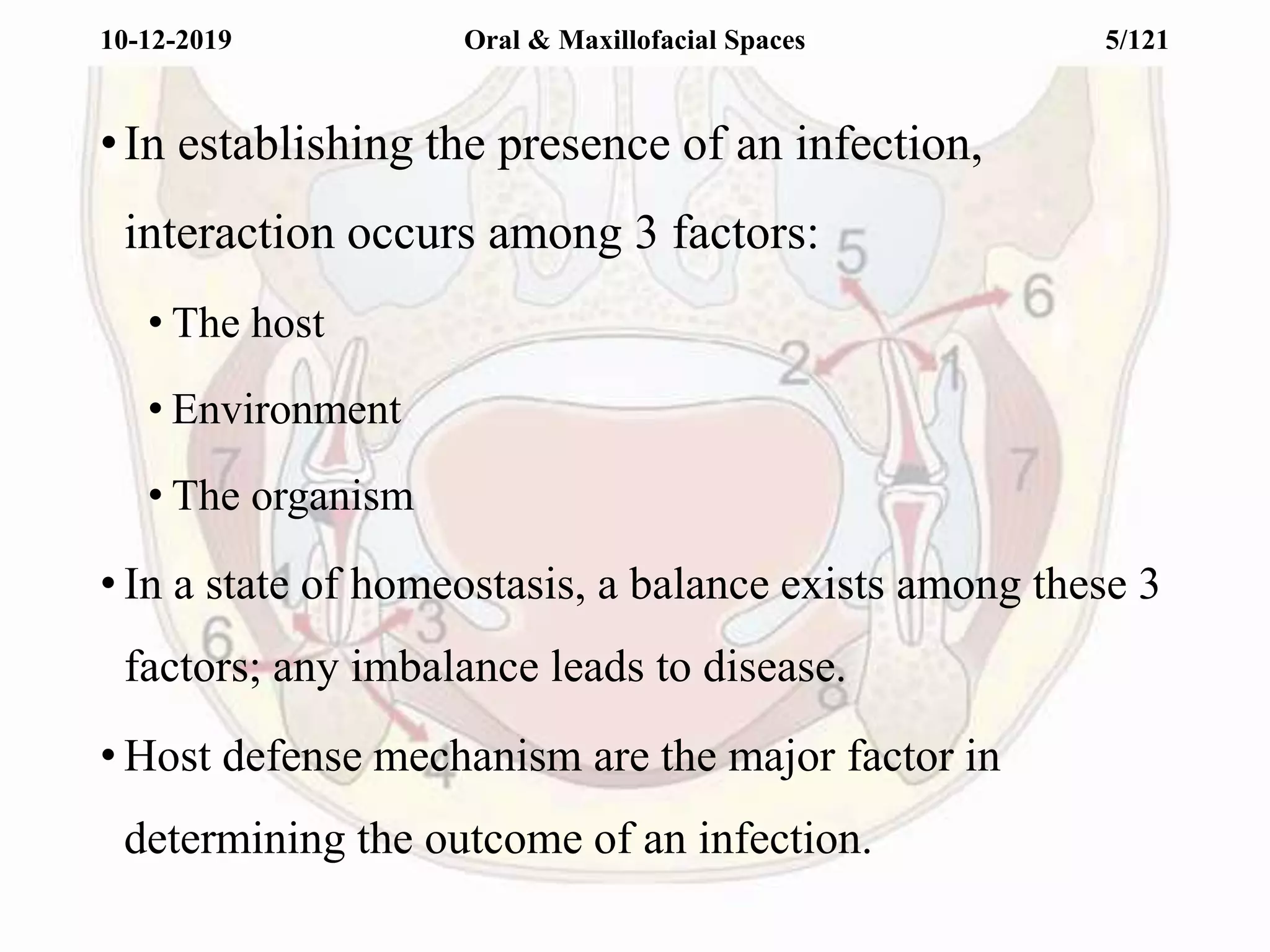 Oral and Maxillofacial Infection | PPTX
