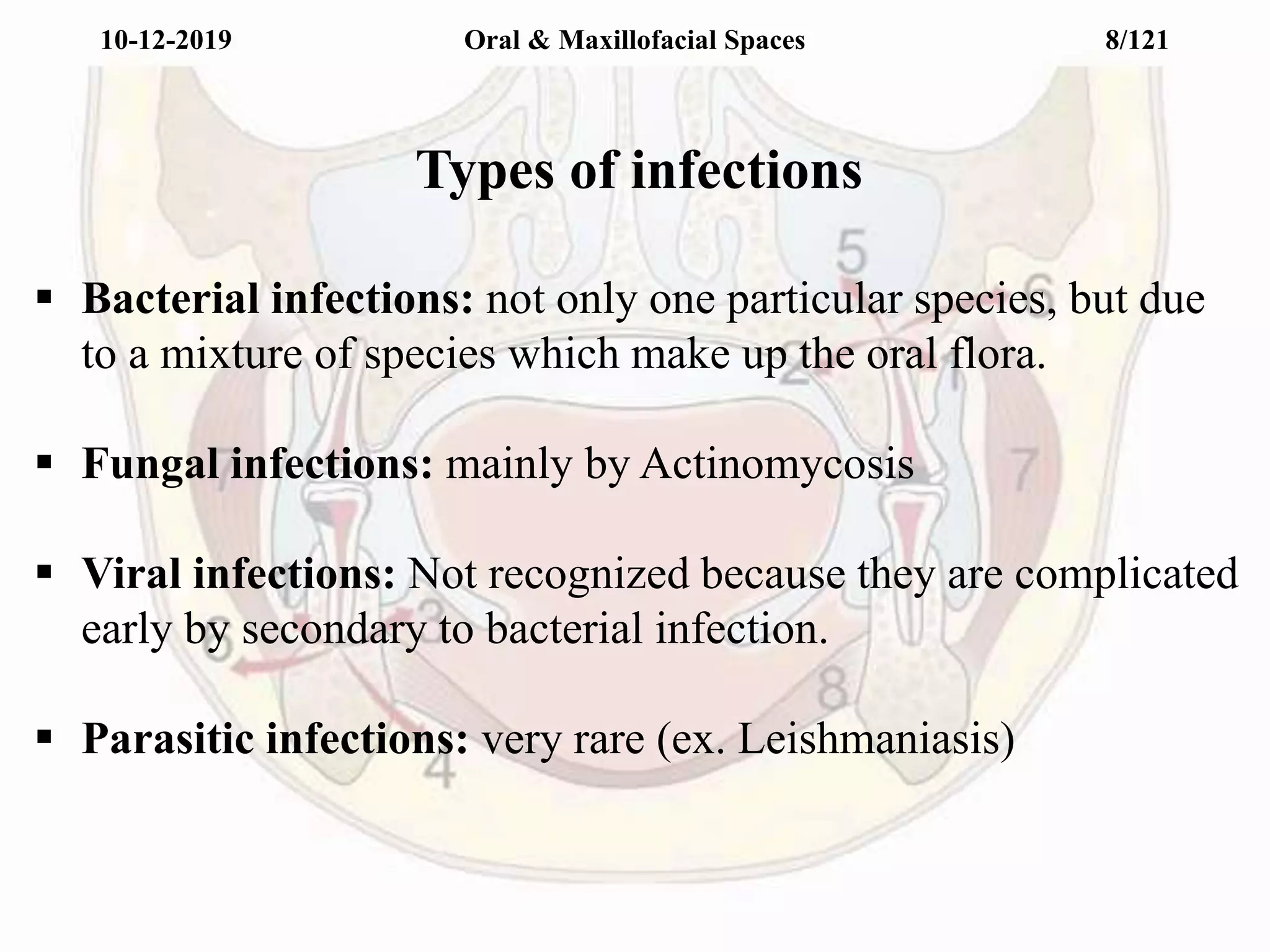 Oral and Maxillofacial Infection | PPTX