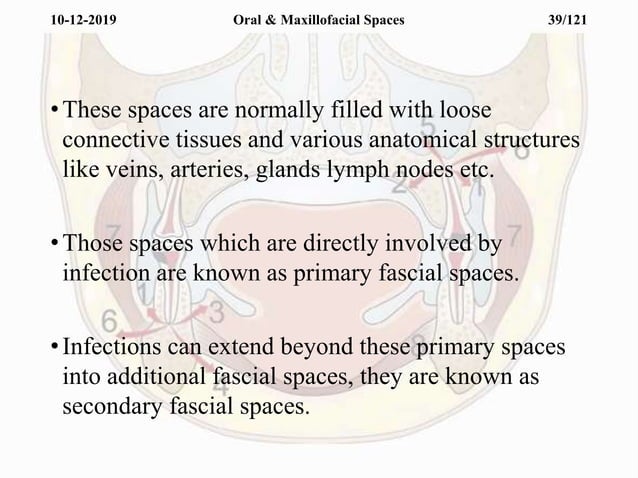 Oral and Maxillofacial Infection | PPTX | Dental Health | Diseases and ...
