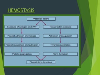 Oral anti coagulants ppt | PPTX
