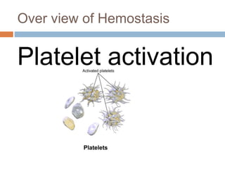 Oral anticoagulant | PPTX