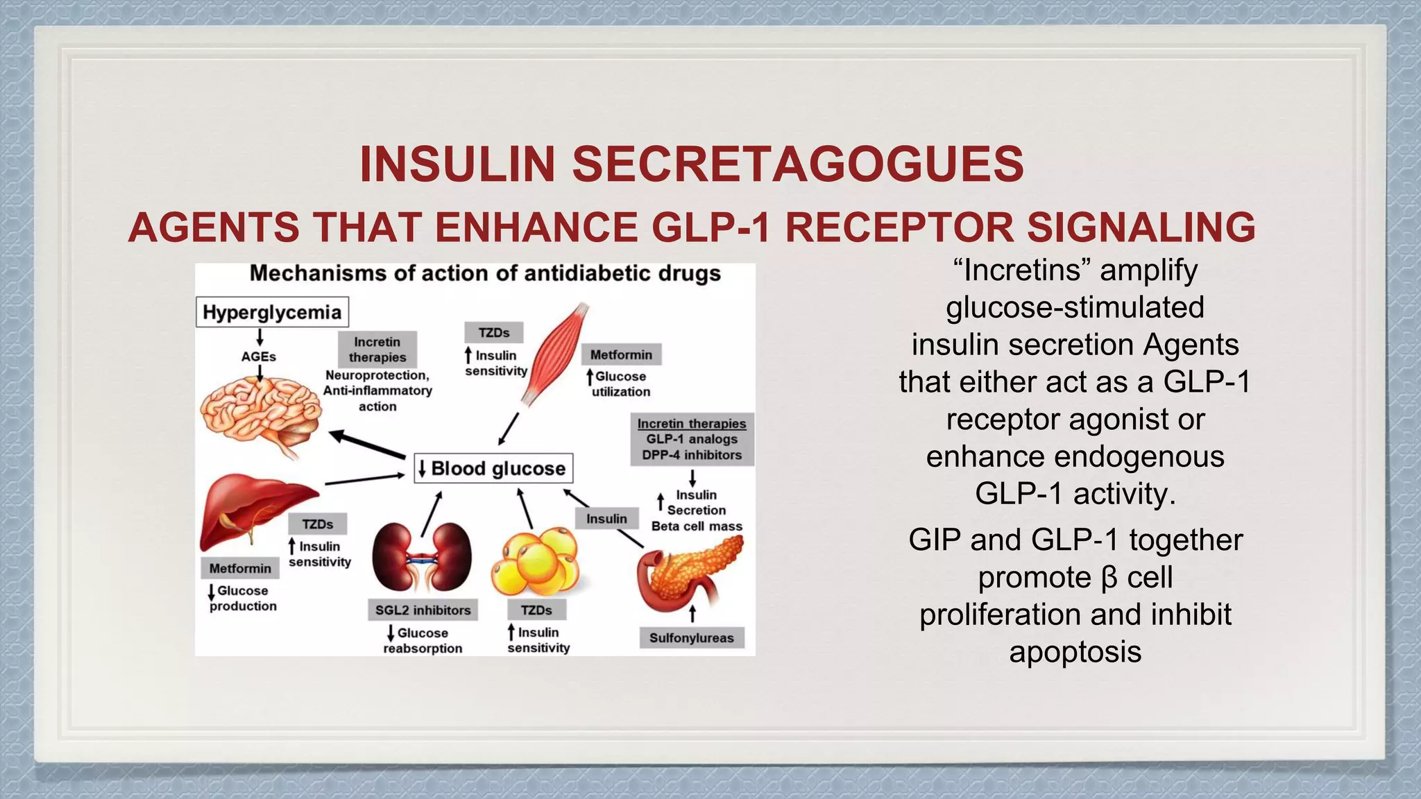 ORAL ANTIDIABETIC DRUGS & AACE GUIDELINES 2023.pptx