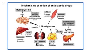 ORAL ANTIDIABETIC DRUGS & AACE GUIDELINES 2023.pdf