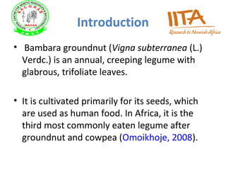 Encouraging The Consumption Of Bambara groundnut (Vigna subterranea ...