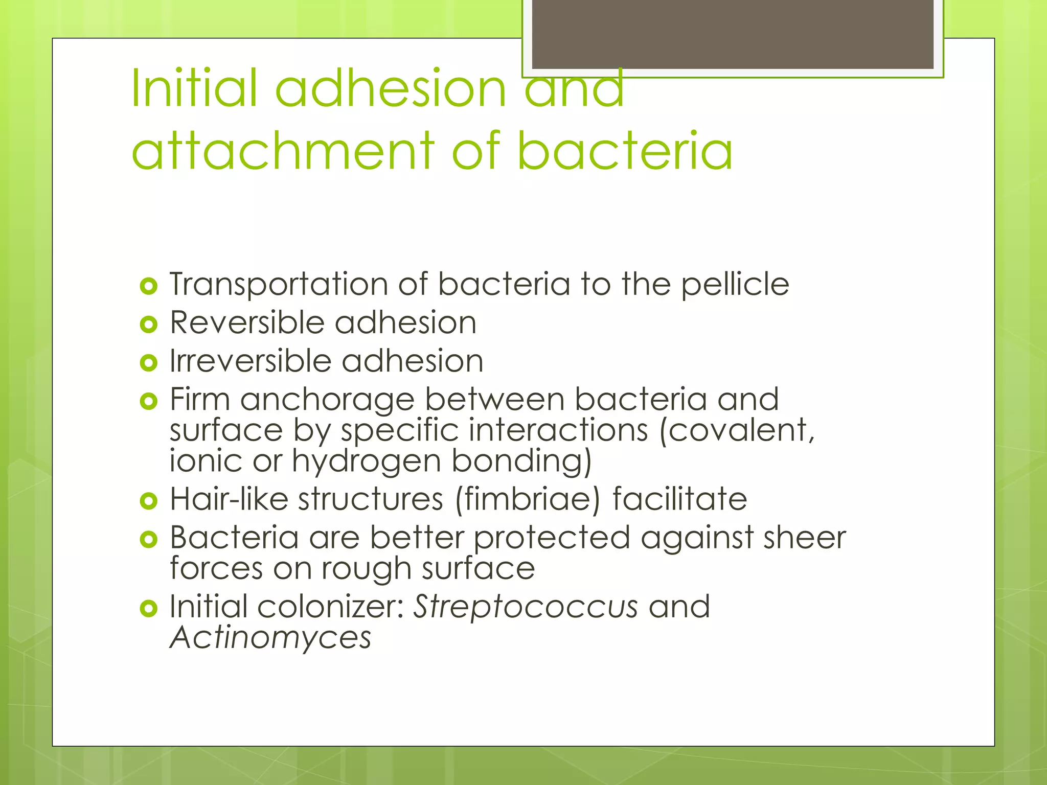 Oral biofilm and calculus.pdf