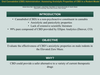 Oral Cannabidiol (CBD) Administration: Assessing Anxiolytic Properties ...