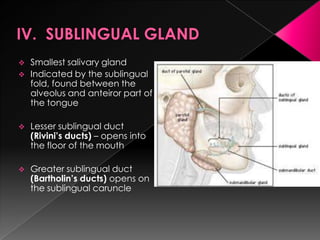 Oral Cavity | PPTX