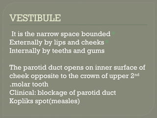 oralcavity-141122031250-conversion-gate01.pptx