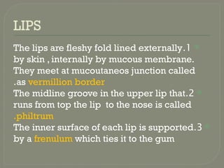 oralcavity-141122031250-conversion-gate01.pptx