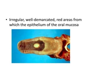 Congenital anomalies/Pathology of oral cavity in animals | PPTX