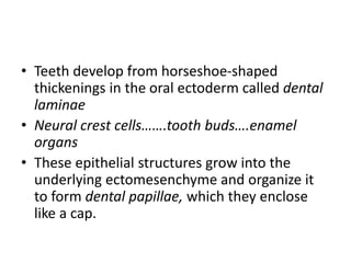 Congenital anomalies/Pathology of oral cavity in animals | PPTX