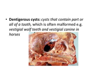 Congenital anomalies/Pathology of oral cavity in animals | PPTX