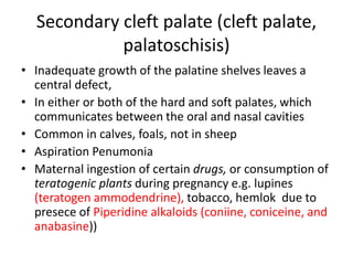 Congenital anomalies/Pathology of oral cavity in animals | PPTX
