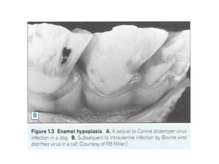 Congenital anomalies/Pathology of oral cavity in animals | PPTX