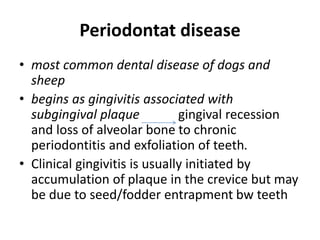 Congenital anomalies/Pathology of oral cavity in animals | PPTX