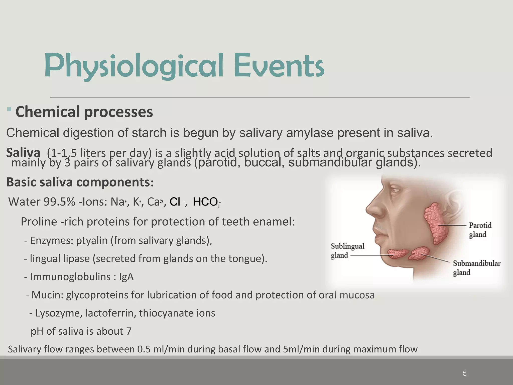 Oral cavity | PPT