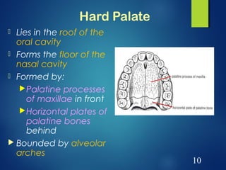 Oral cavity (Dentistry) | PPT