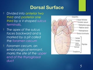 Oral cavity (Dentistry) | PPT