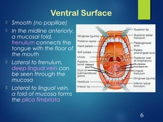 Oral cavity (Dentistry) | PPT
