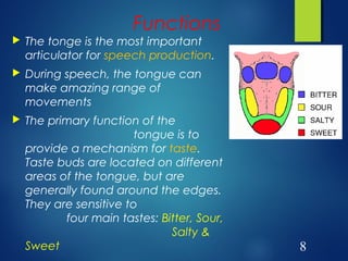 Oral cavity (Dentistry) | PPT