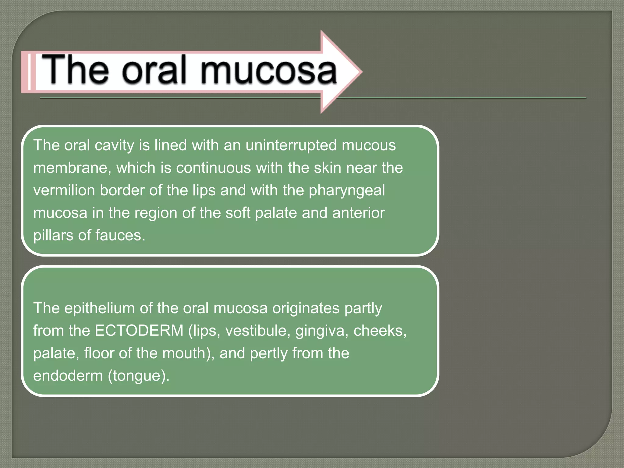 Oral cavity anatomy and histology | PPTX