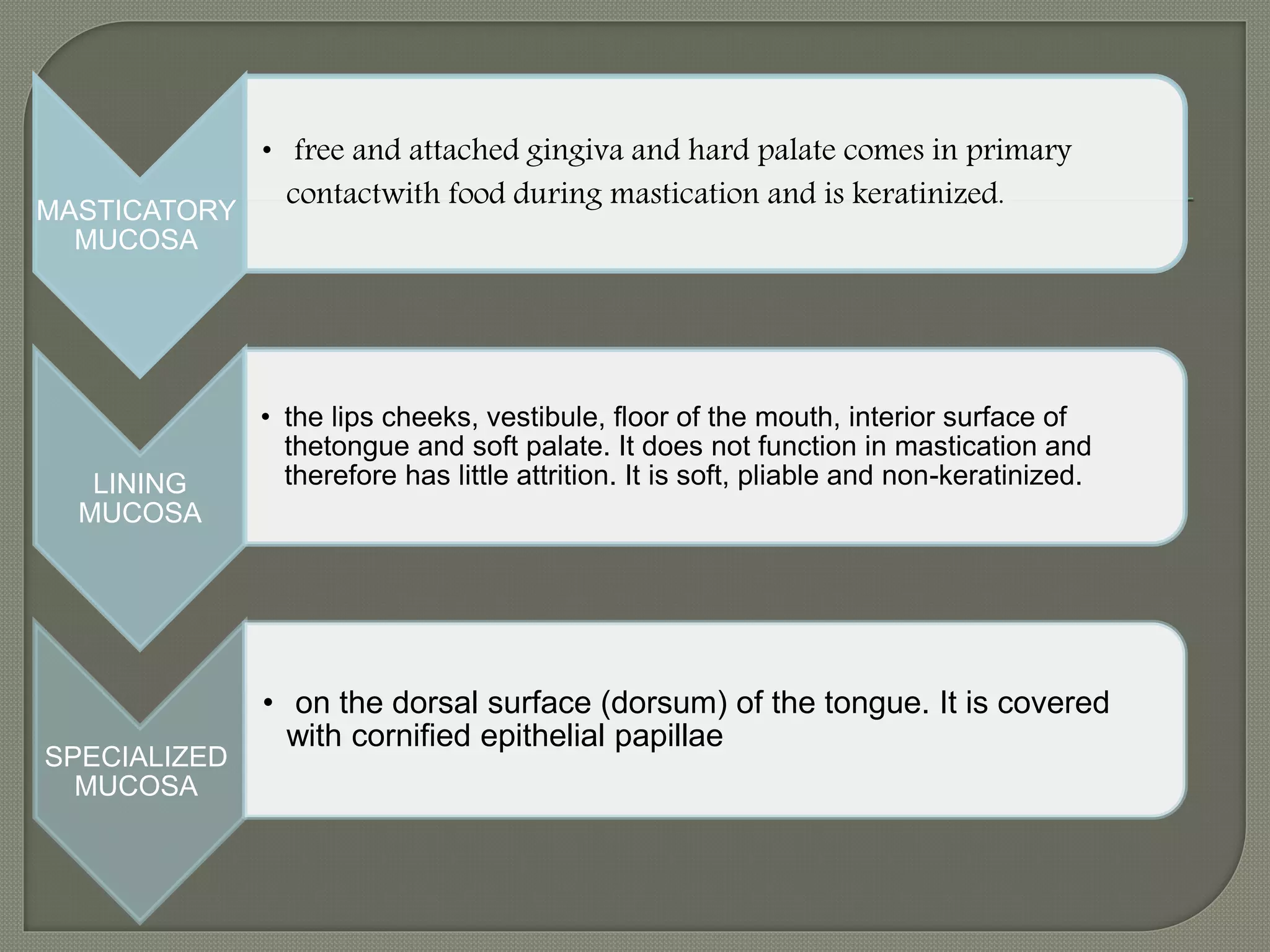 Oral cavity anatomy and histology | PPTX
