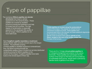 Oral cavity anatomy and histology | PPTX