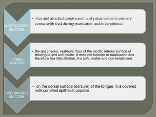 Oral cavity anatomy and histology | PPT