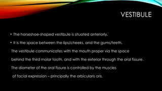 introduction to the anatomy Oral cavity.pptx