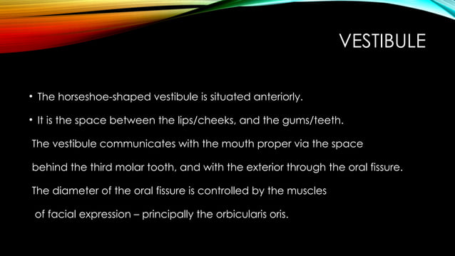 introduction to the anatomy Oral cavity.pptx