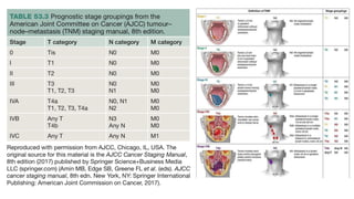 oral cavity .pptx TNM STAGING of buccal carcinoma | PPTX