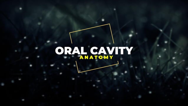 Anatomy of oral cavity | PPT