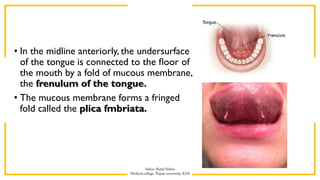 Anatomy of oral cavity | PPT