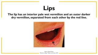 Anatomy of oral cavity | PPT