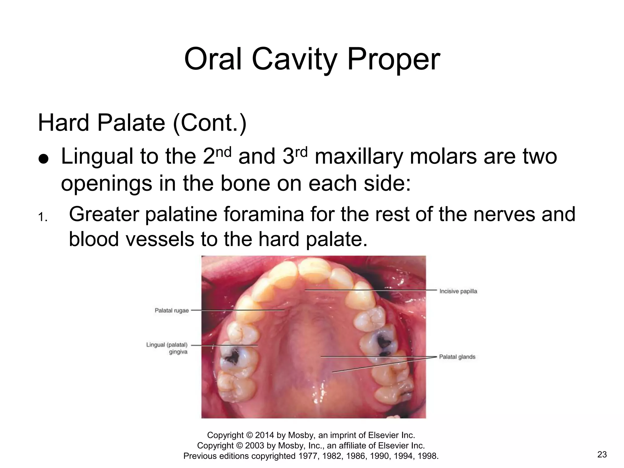 Nomenclature: Oral cavity | PPTX | Dental Health | Diseases and Conditions