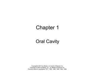 Nomenclature: Oral cavity | PPT