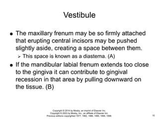 Nomenclature: Oral cavity | PPTX