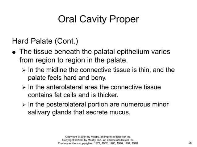 Nomenclature: Oral cavity | PPTX | Dental Health | Diseases and Conditions